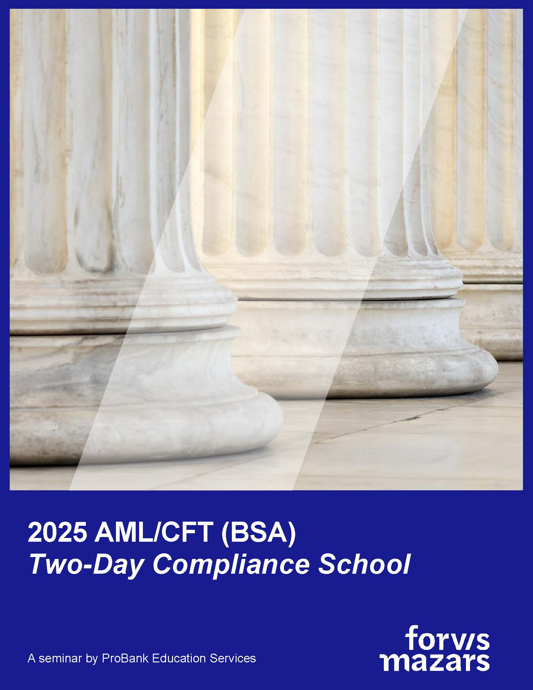 AML Look Back Consulting | BSA Compliance School